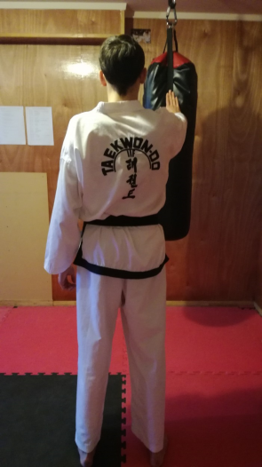 The Humble Turning Kick – TKD Talk